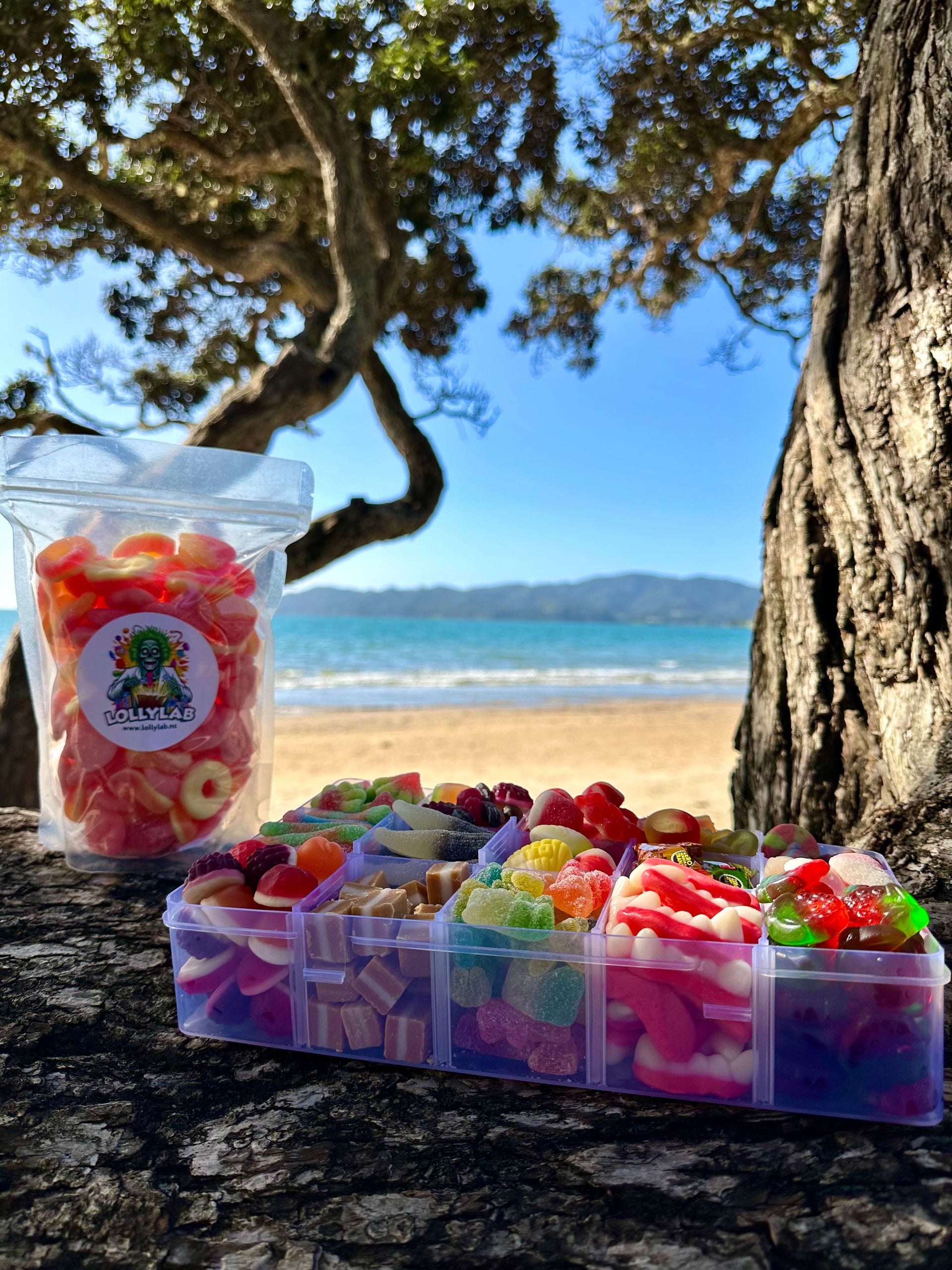 Customisable lolly packages, delivered to your door - Lolly Lab – Lolly ...